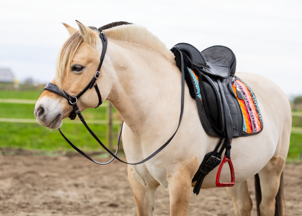 EDIX Libre treeless dressage saddle - EDIX Saddles