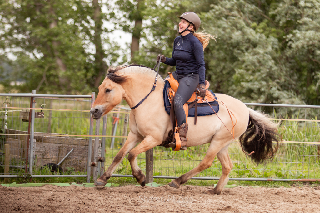 EDIX Santos treeless western saddle - EDIX Saddles