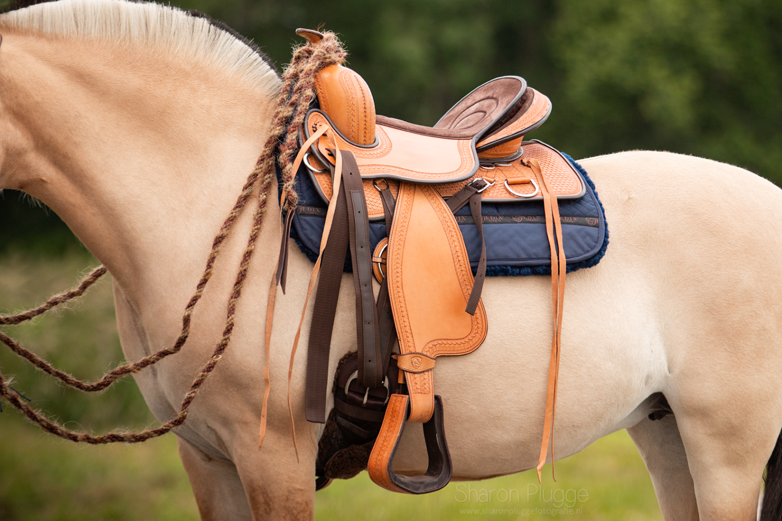 EDIX WN 8-pocket Merino pad - EDIX Saddles