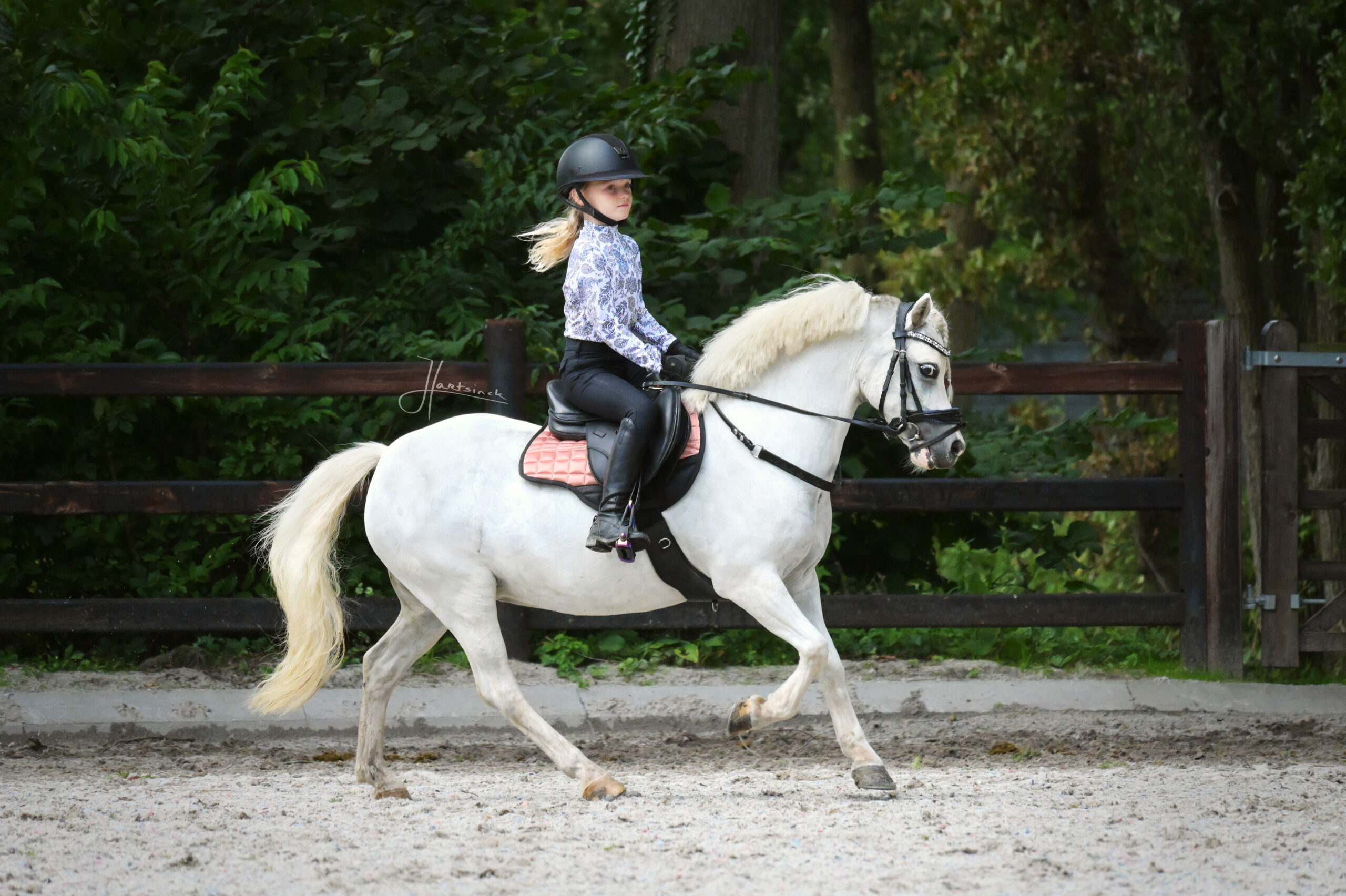 EDIX Alydar Kids jumping saddle - EDIX Saddles