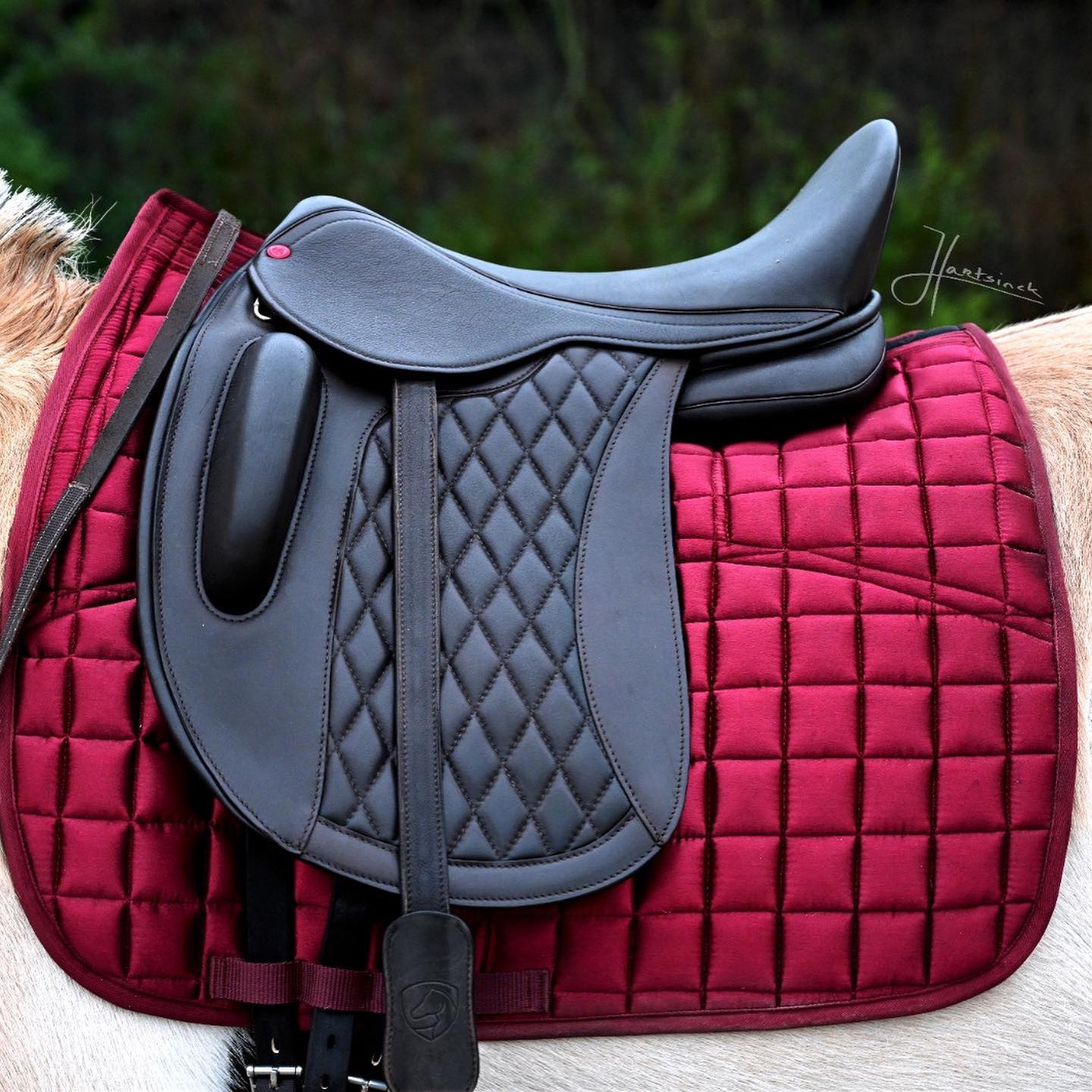EDIX Yasir soft tree dressage saddle - EDIX Saddles