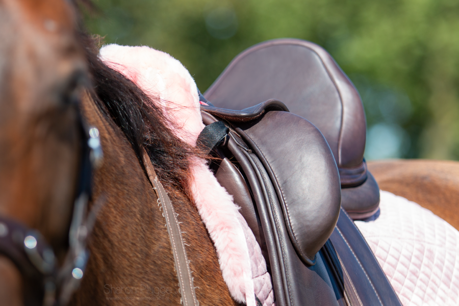 EDIX Ishya flexible dressage saddle - EDIX Saddles