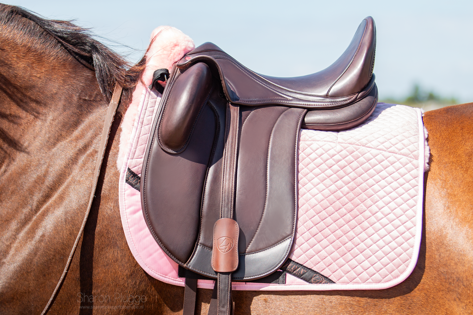 EDIX Ishya flexible dressage saddle - EDIX Saddles