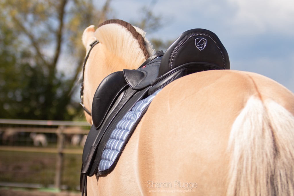 EDIX Ishya flexible dressage saddle - EDIX Saddles