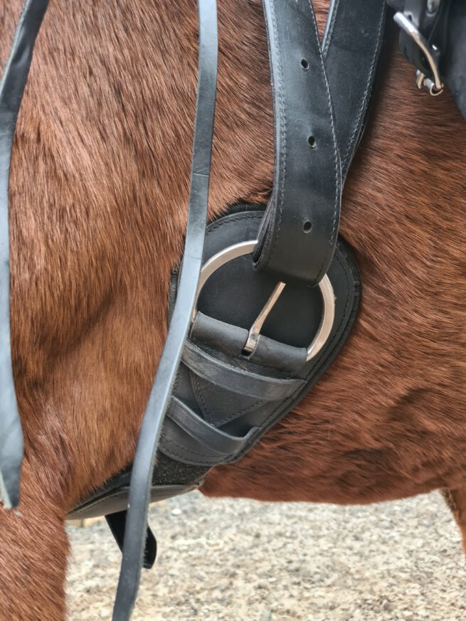 EDIX crescent girth Western - EDIX Saddles