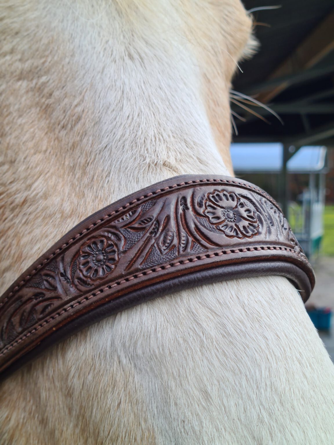 EDIX ED1, chincross bridle of the Rose collection - EDIX Saddles