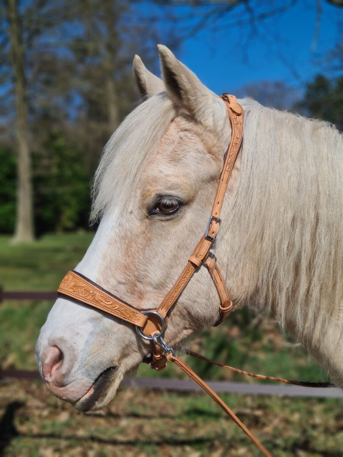 EDIX ED2, sidepull bridle of the Rose collection - EDIX Saddles