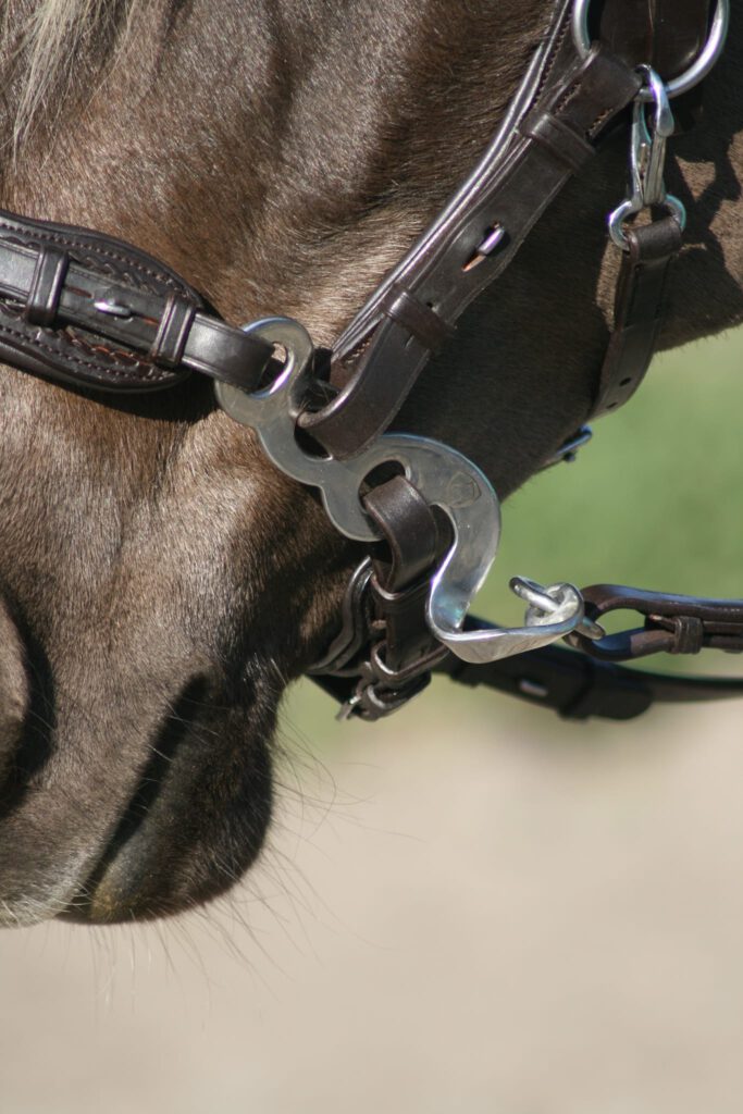 EDIX Hack-Q hackamore scharen - EDIX Saddles