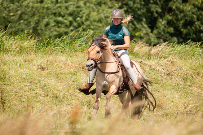 EDIX® Broncho barebackpad - EDIX Saddles