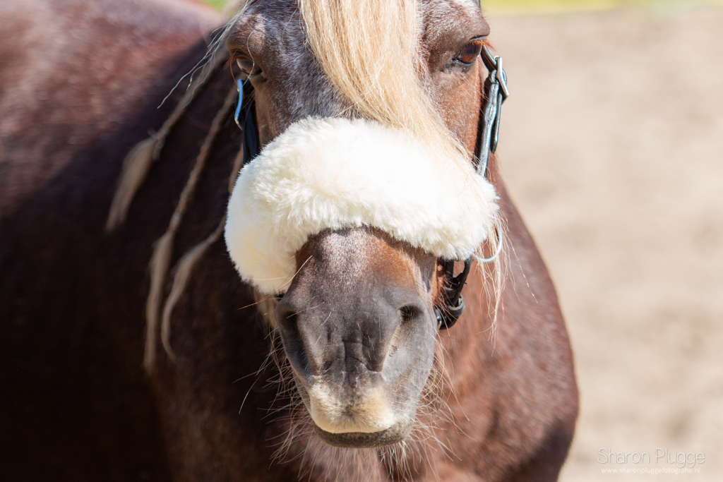 EDIX Merino sheepskin nose/head cover - EDIX Saddles