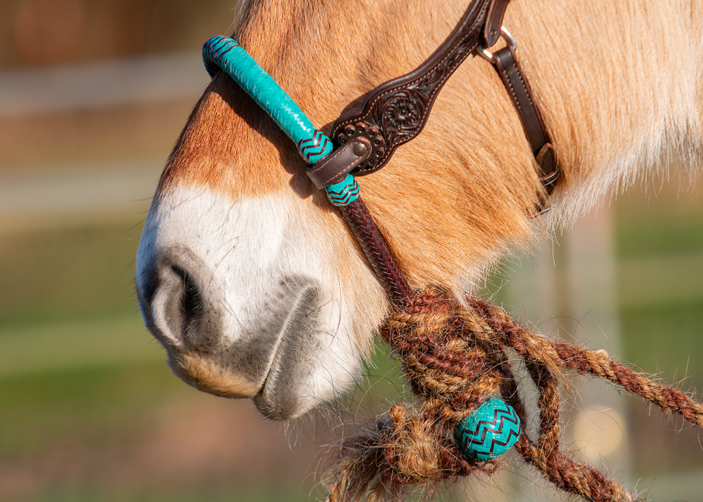 EDIX Chara ongelooid leer bosal - EDIX Saddles