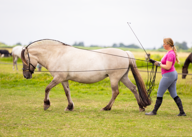 EDIX Refine long reins - EDIX Saddles