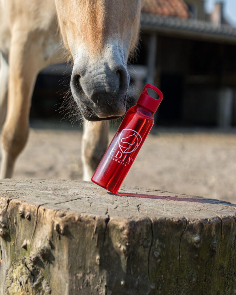 EDIX drinkbottle 650 ml - EDIX Saddles