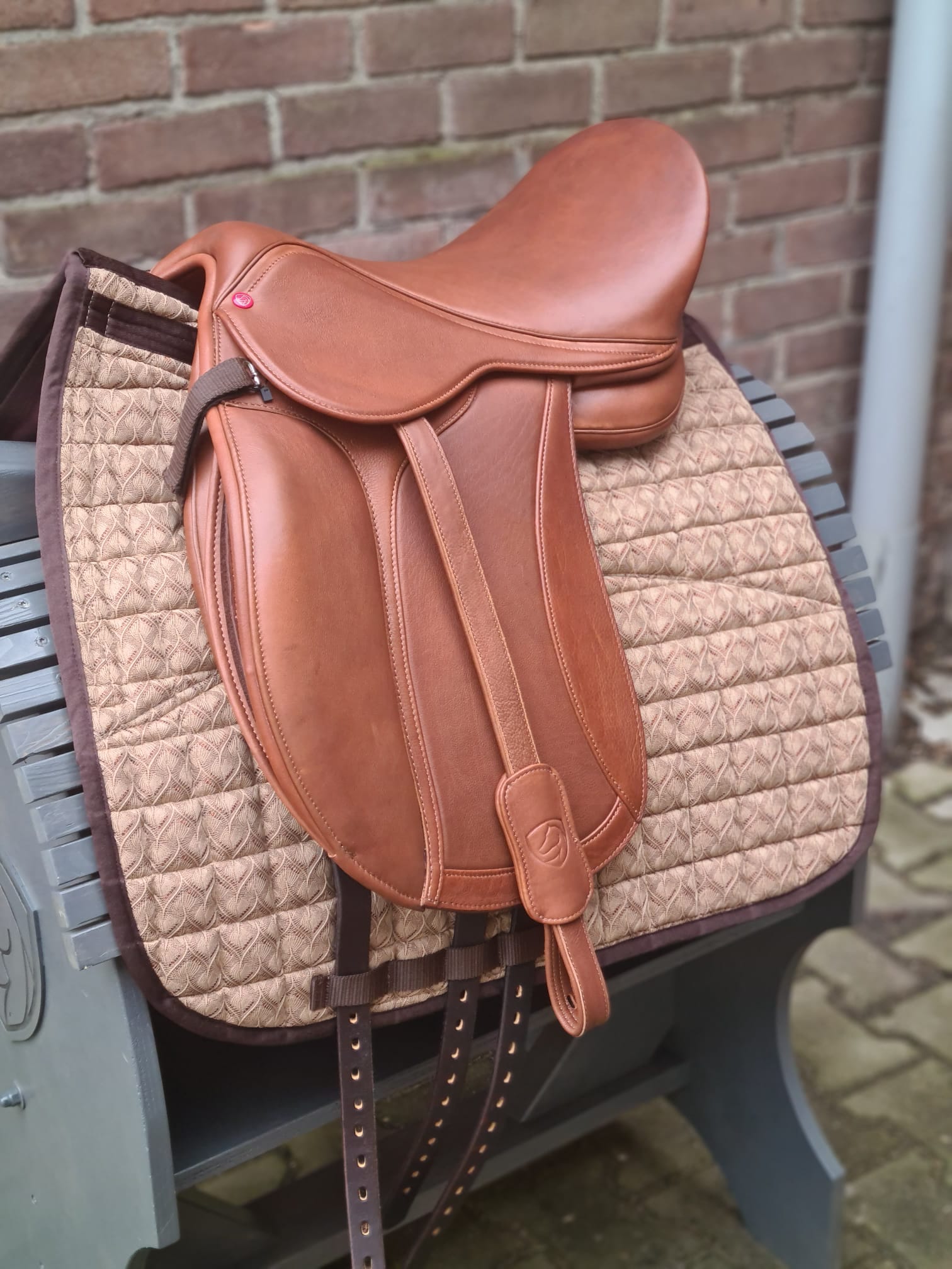 EDIX uni dressuur 8-pocket pad special lace - EDIX Saddles