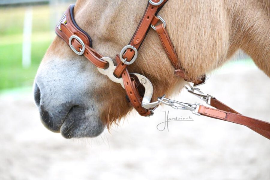 EDIX Hack-Q hackamore scharen - EDIX Saddles