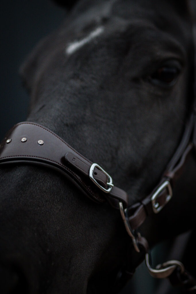 EDIX neusriem Adore - EDIX Saddles