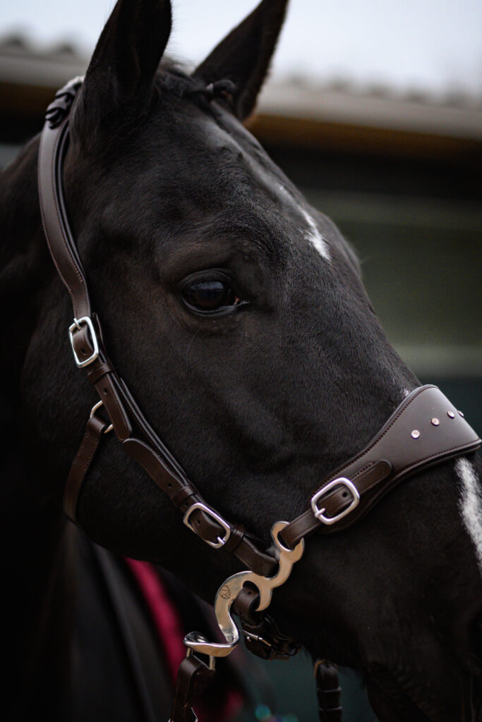 EDIX neusriem Adore - EDIX Saddles