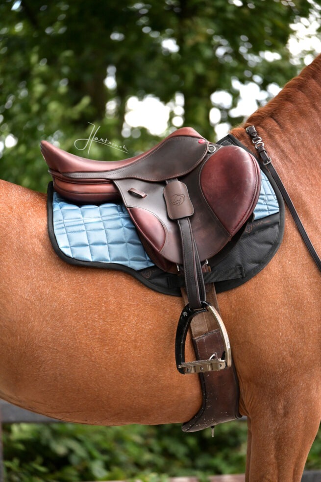 EDIX GP Metallic 8-pocket pad Kind - EDIX Saddles