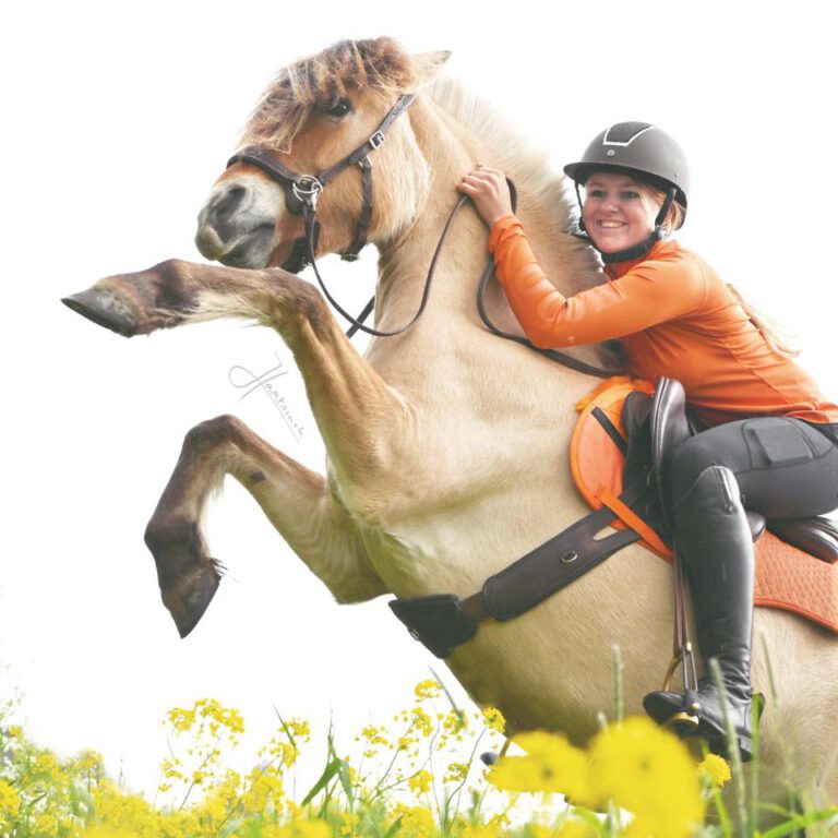 EDIX asymmetrische 3-delig elastische lederen springsingel - EDIX Saddles