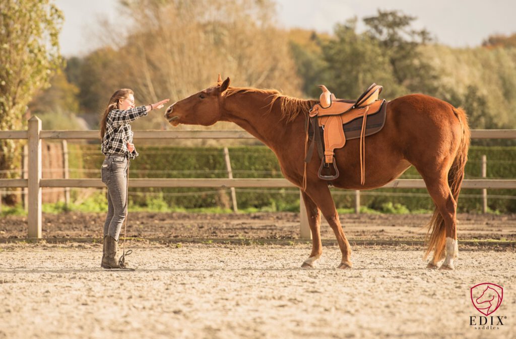EDIX Santos treeless western saddle - EDIX Saddles