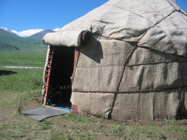 Informatie over EDIX vilt producten en onderhoud - EDIX Saddles